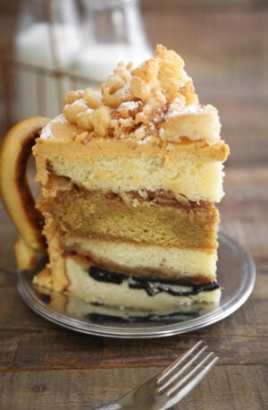 State Fair Sampler Cake - Sprinkle Bakes